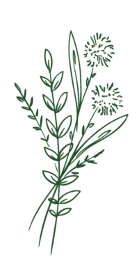 MENU - Sweet Friends Bakery